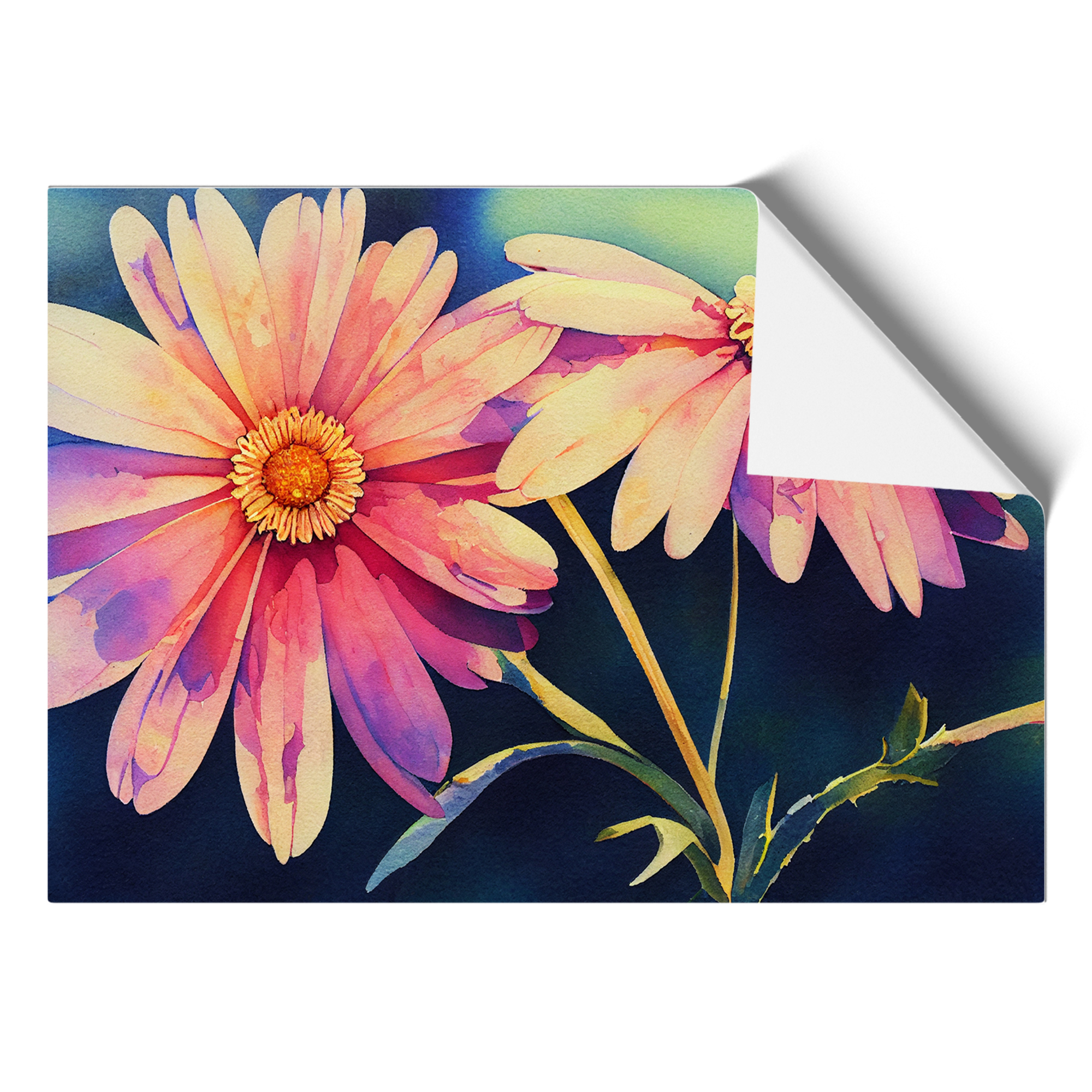 Charming Daisy Flowers Framed Canvas Wall Art Print Poster Picture ...