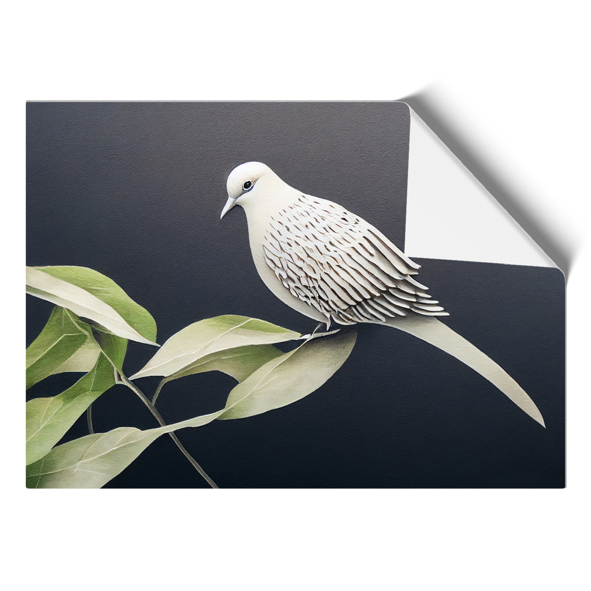 Classic Dove Bird Framed Canvas Wall Art Print Poster Picture, Home ...