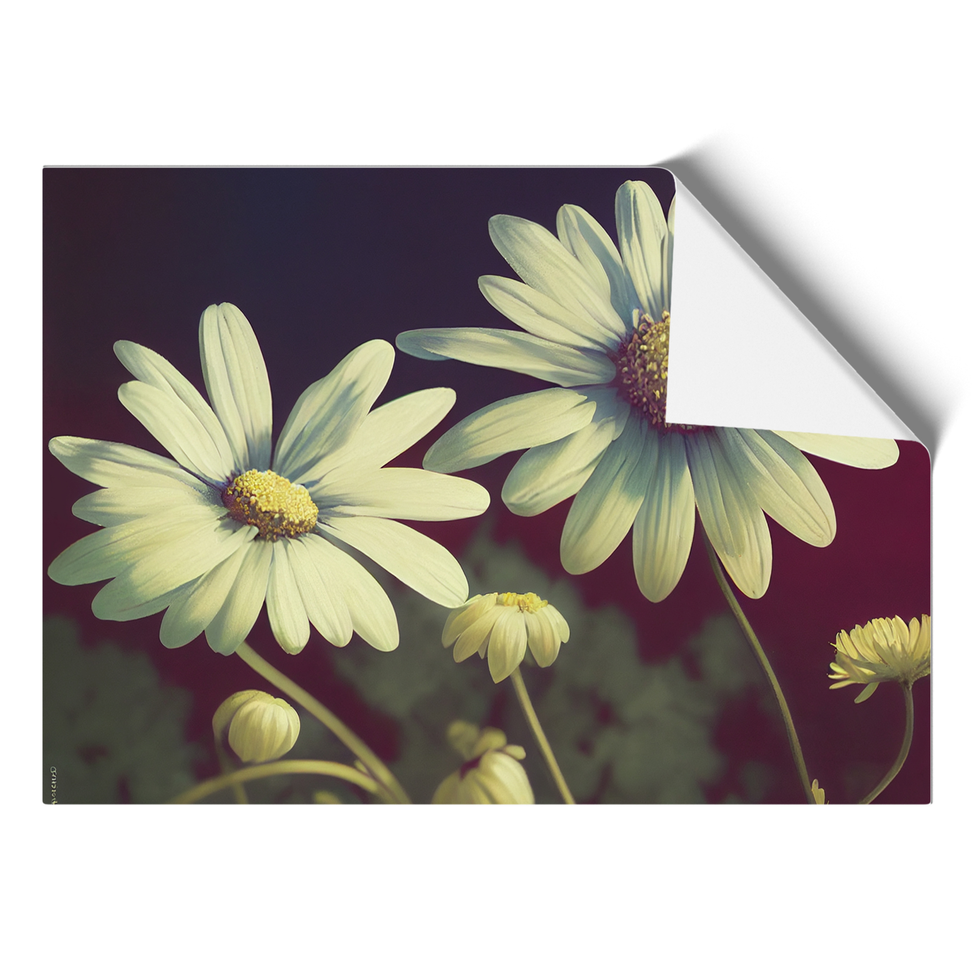 Fanciful Daisy Flowers Wall Art Print Framed Canvas Picture Poster ...