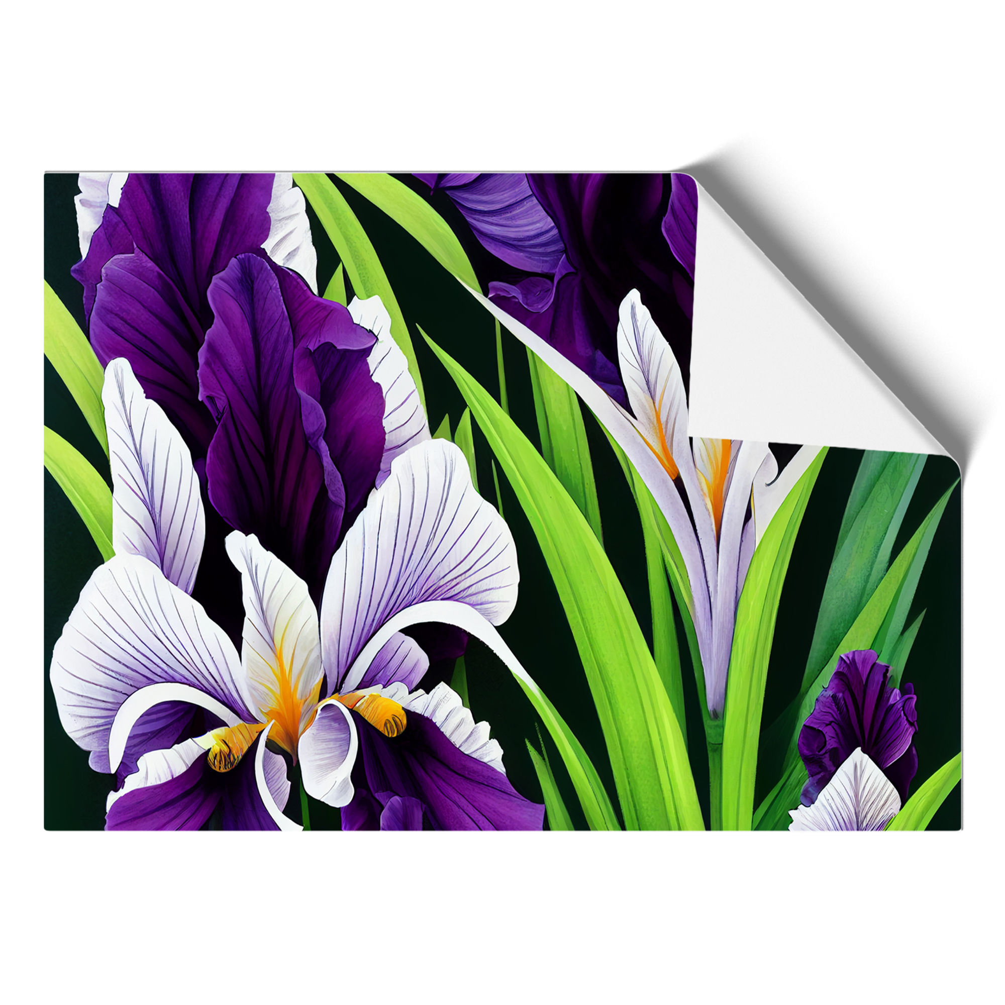 Modern Iris Flowers Vol.1 Wall Art Print Framed Canvas Picture Poster ...