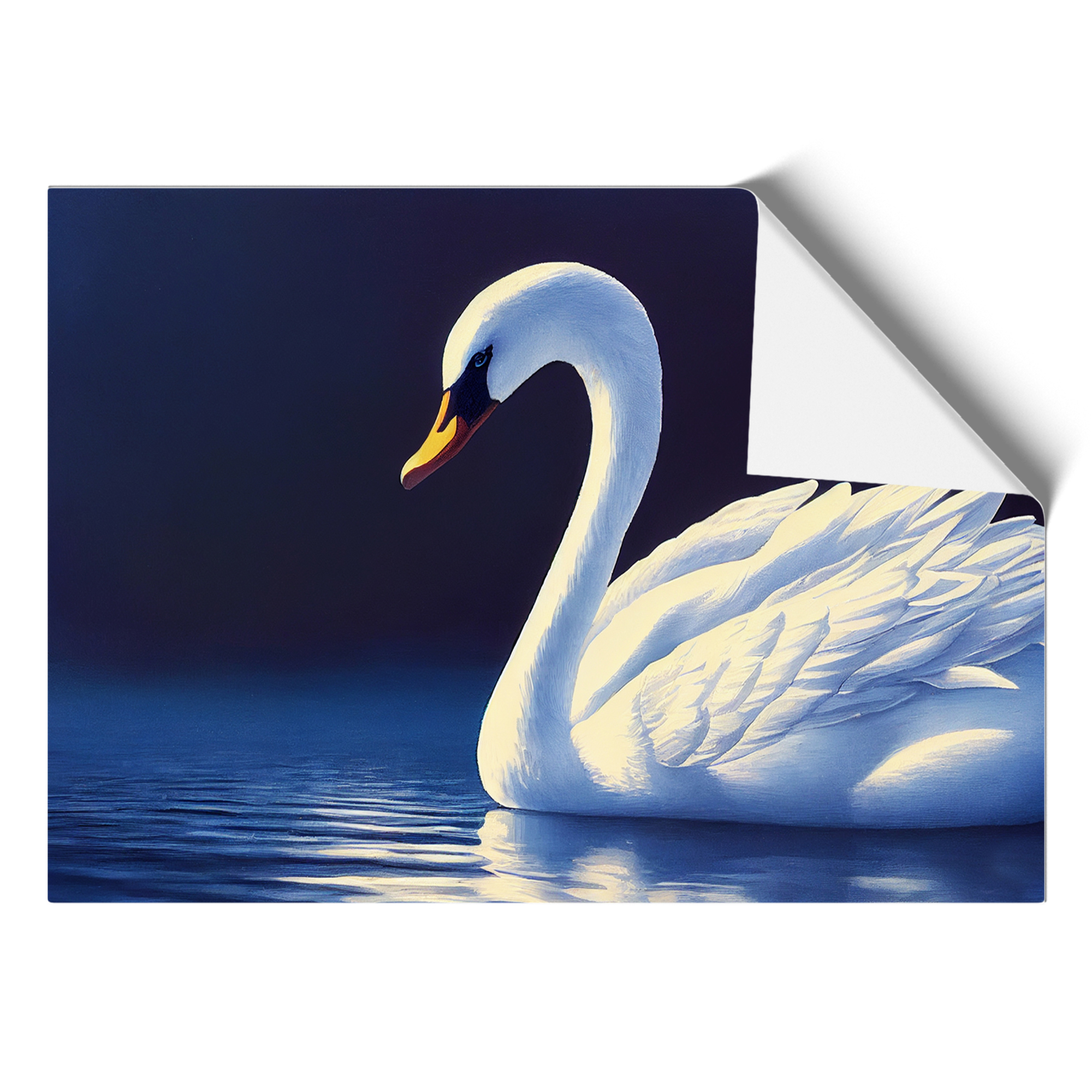 Ravishing Swan Framed Canvas Wall Art Print Poster Picture, Home Decor ...