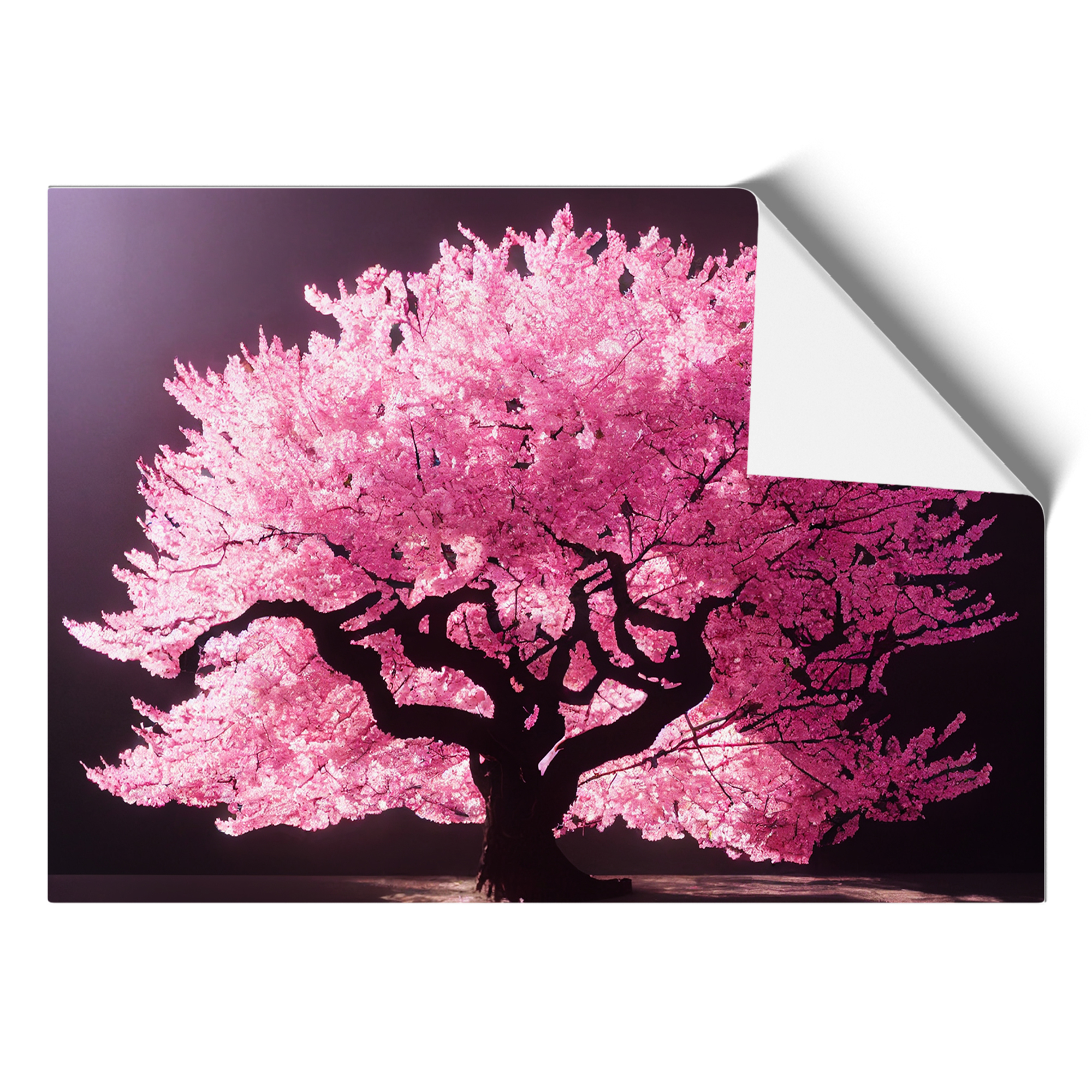 Showstopping Cherry Blossom Tree Wall Art Print Framed Canvas Picture ...