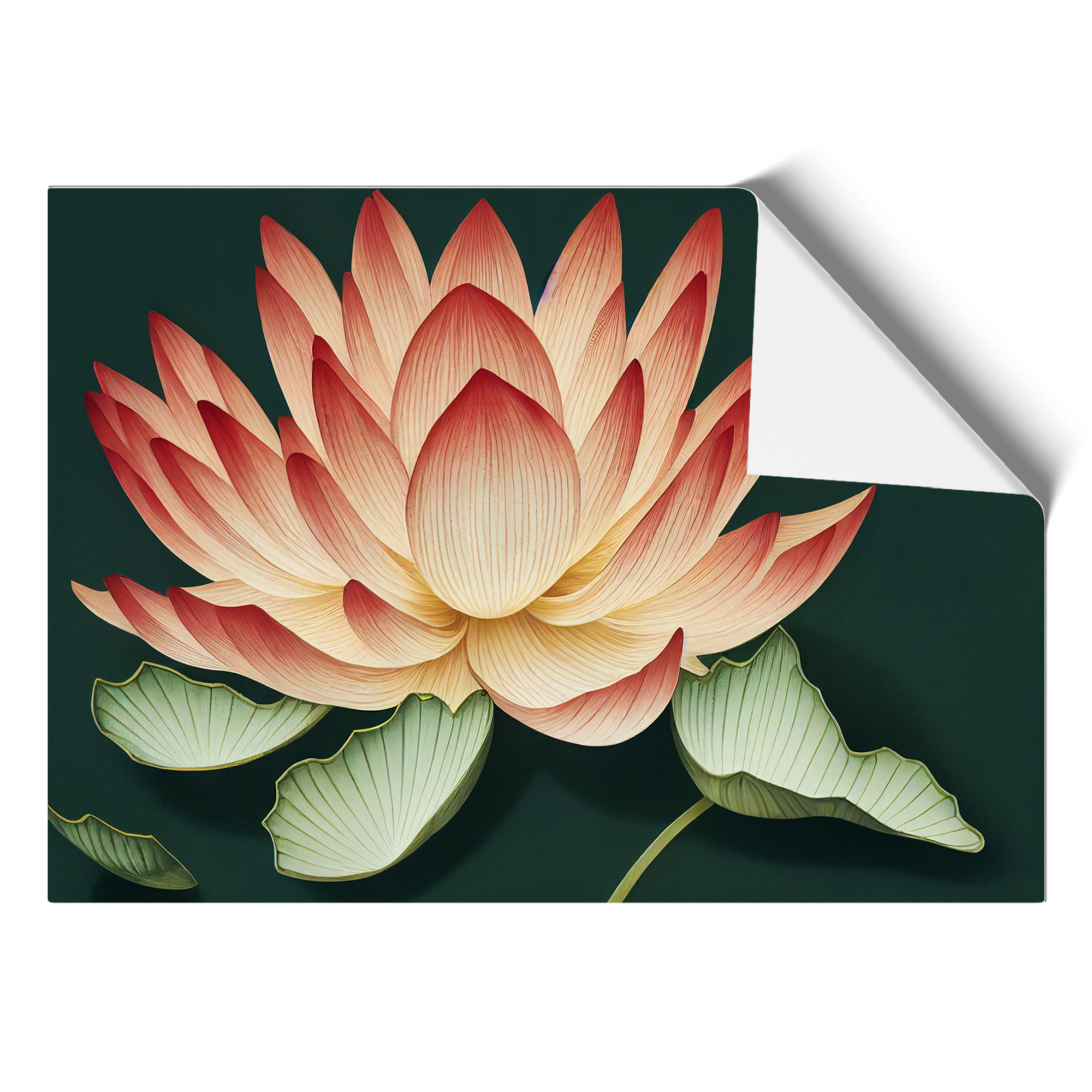 Showstopping Lotus Flower Wall Art Print Framed Canvas Picture Poster ...