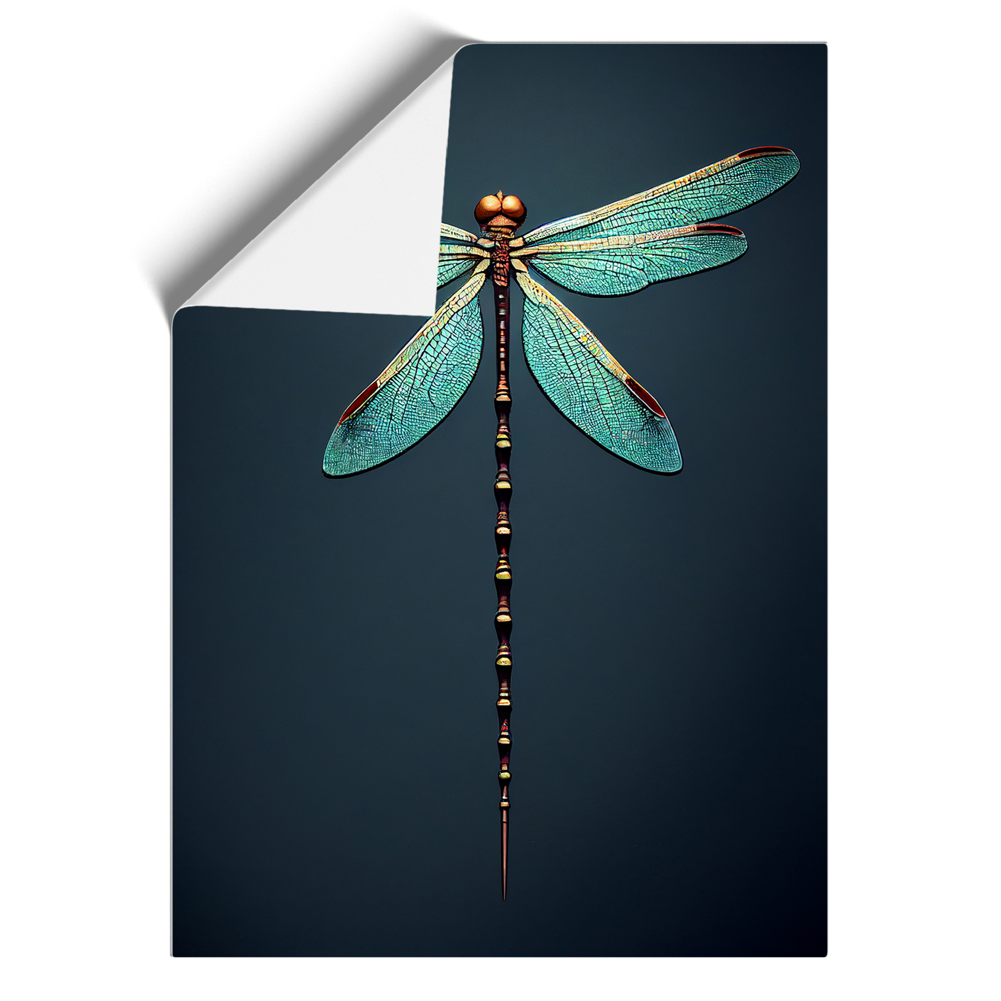 Dainty Dragonfly Framed Wall Art Print Large Picture Ready to Hang | eBay