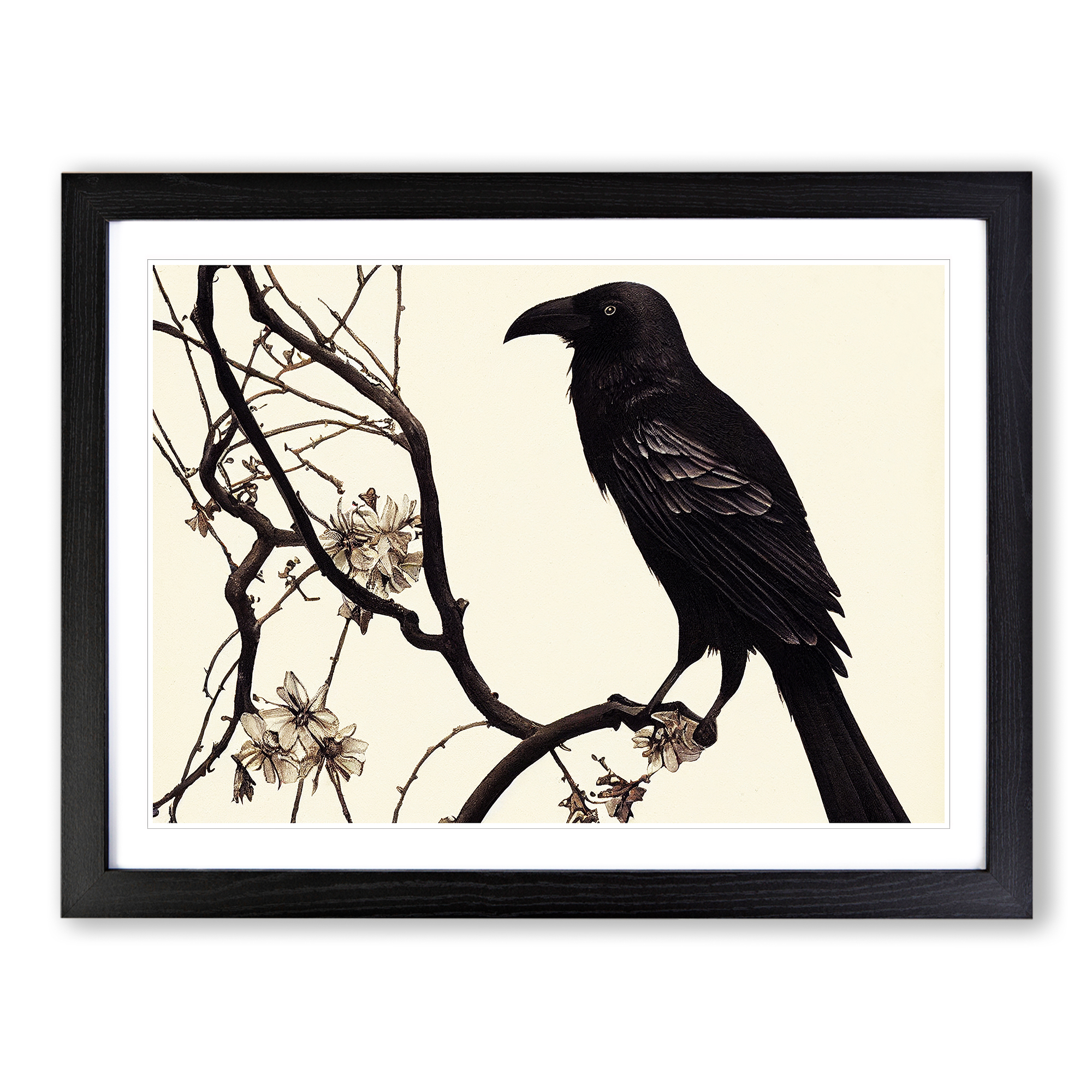 Terrific Crow Bird Framed Canvas Wall Art Print Poster Picture, Home ...