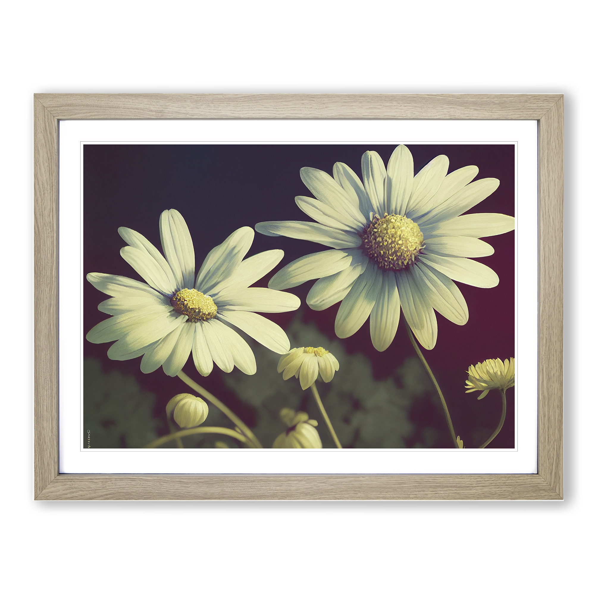 Fanciful Daisy Flowers Wall Art Print Framed Canvas Picture Poster ...