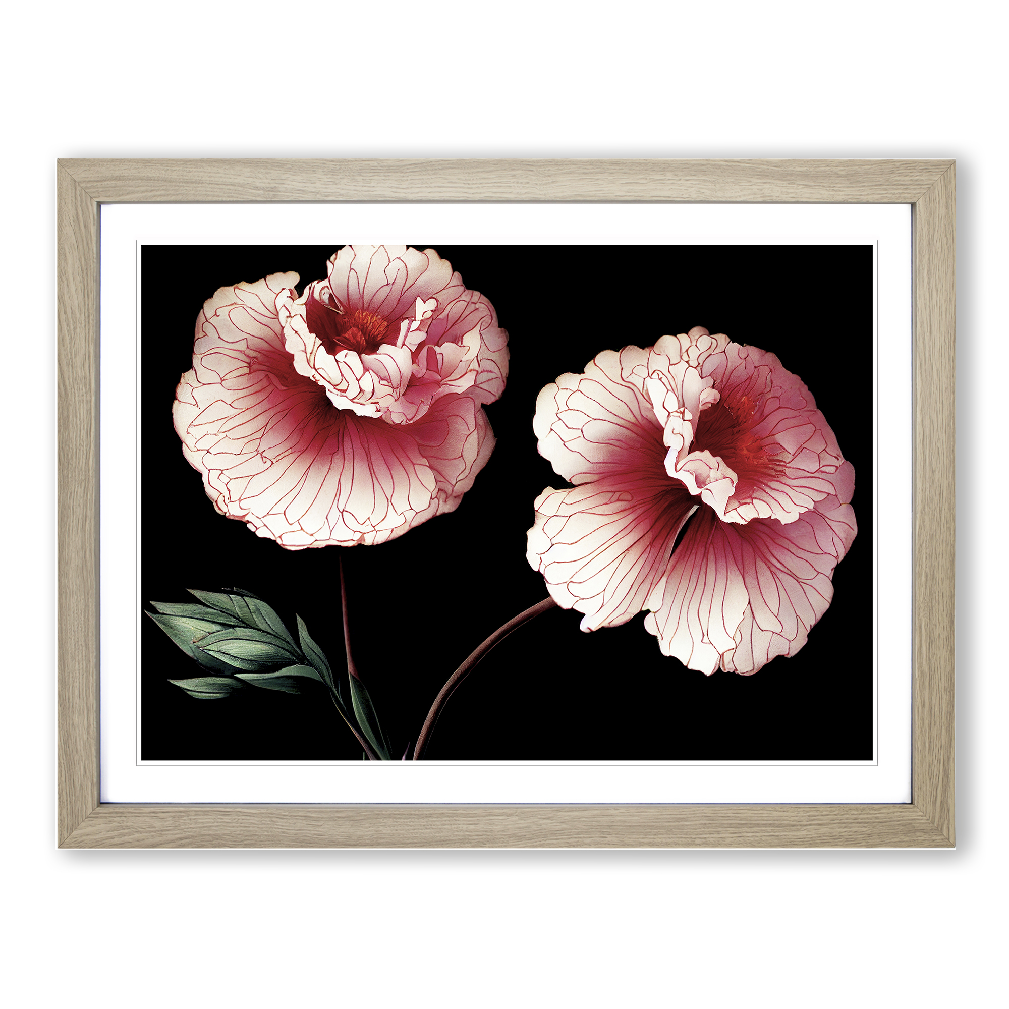 Sparkling Carnation Flowers Wall Art Print Framed Canvas Picture Poster ...