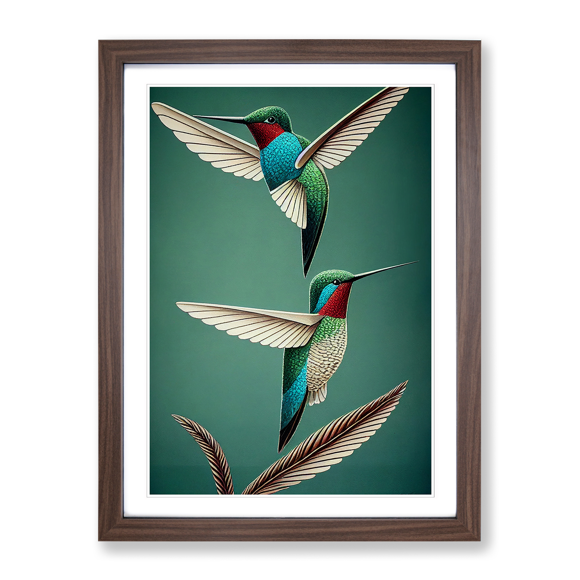 Hummingbird Traditional Vol.1 Framed Wall Art Print Home Decor Picture ...