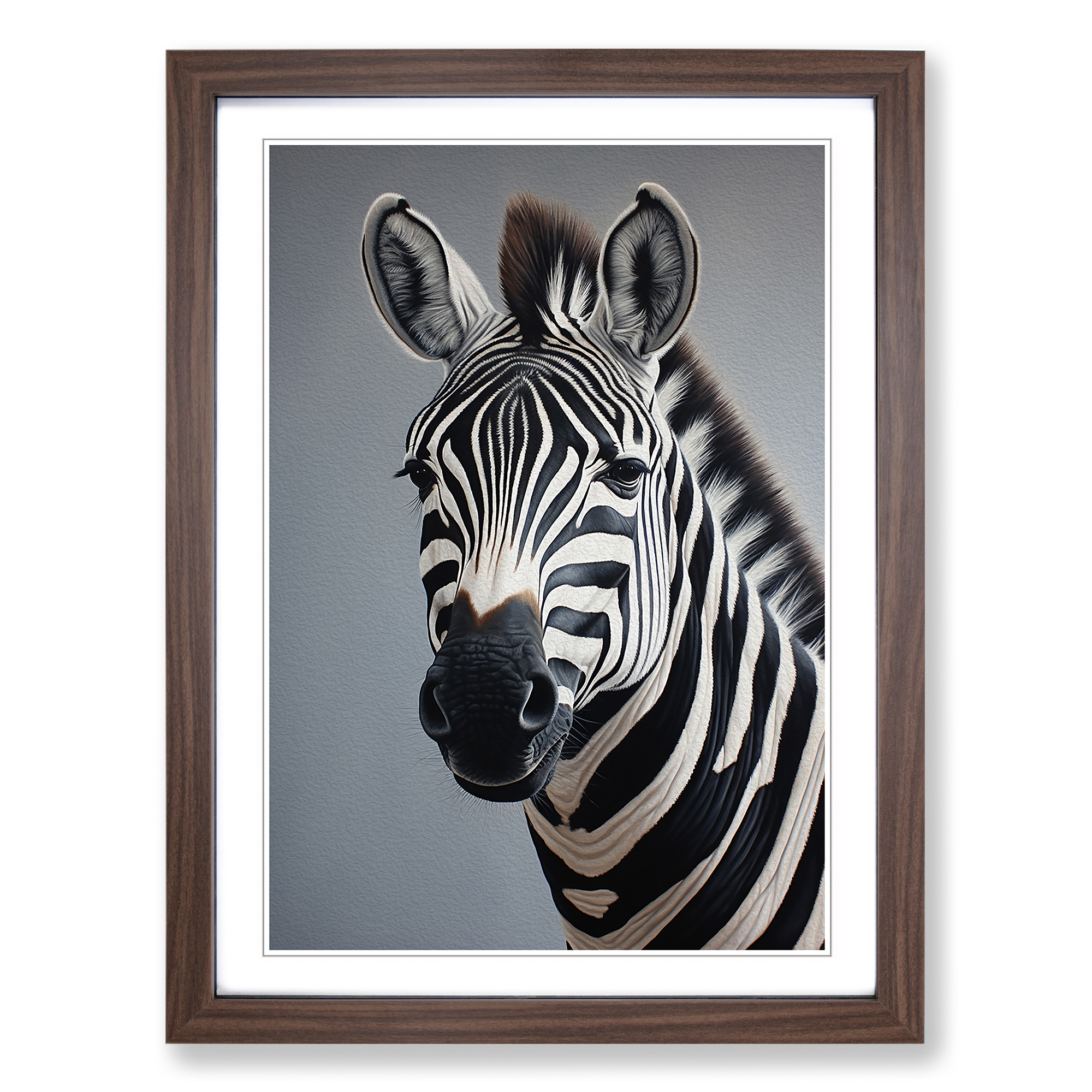 Zebra Realism Wall Art Print Framed Canvas Picture Poster Decor Living ...