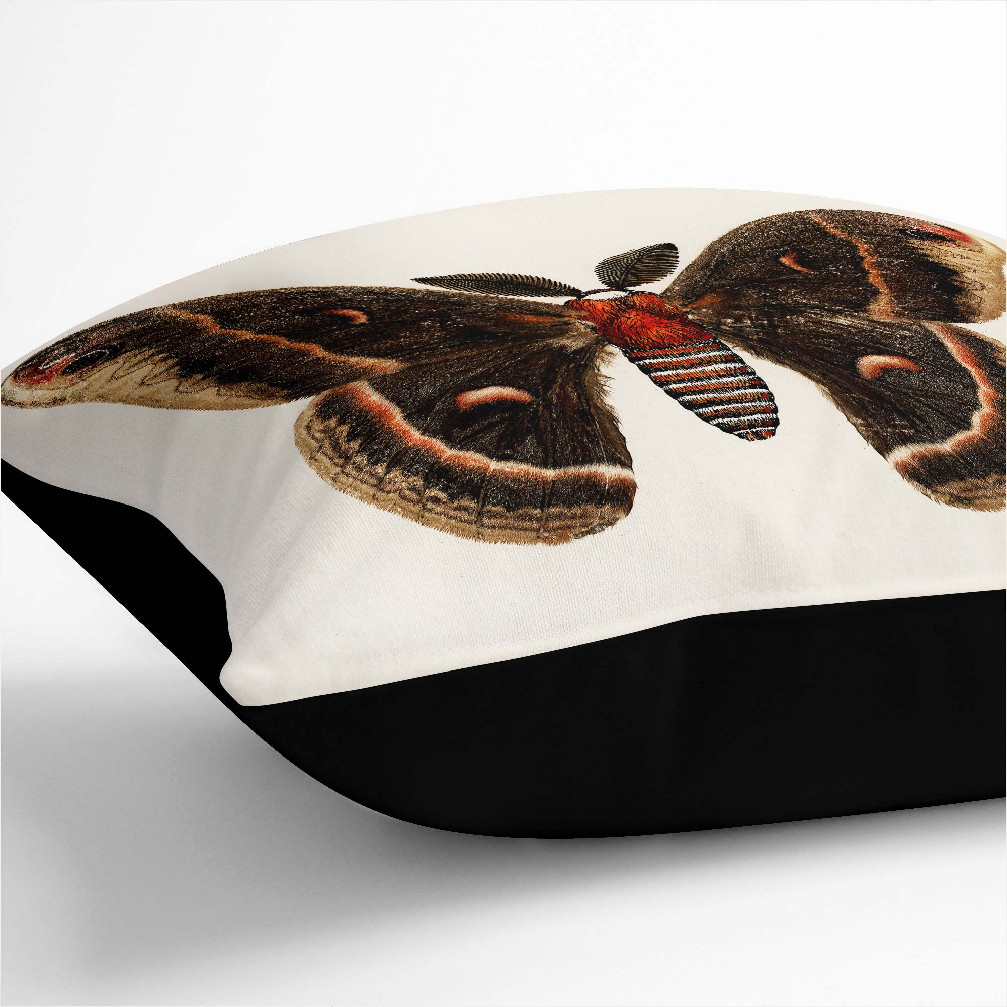 Plump Cushion Cecropia Moth Animal Vintage S.F. Denton Scatter Throw Pillow | eBay