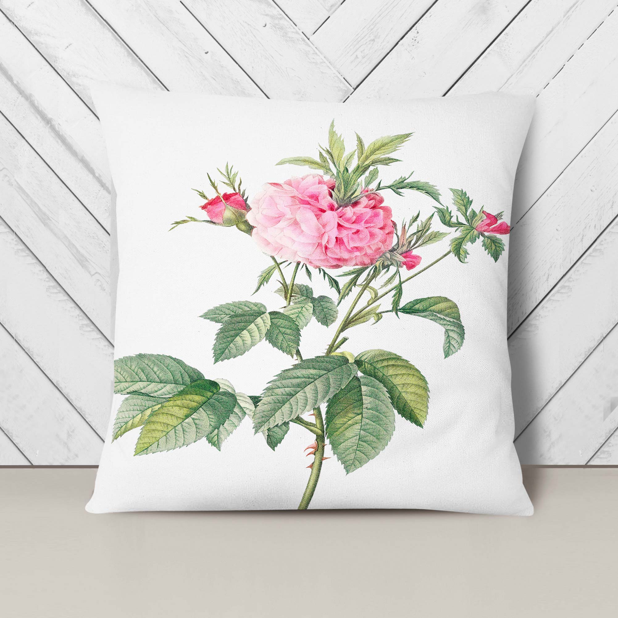Plump Cushion Pink Agatha Roses Flowers Pierre-Joseph Redoute Scatter ...