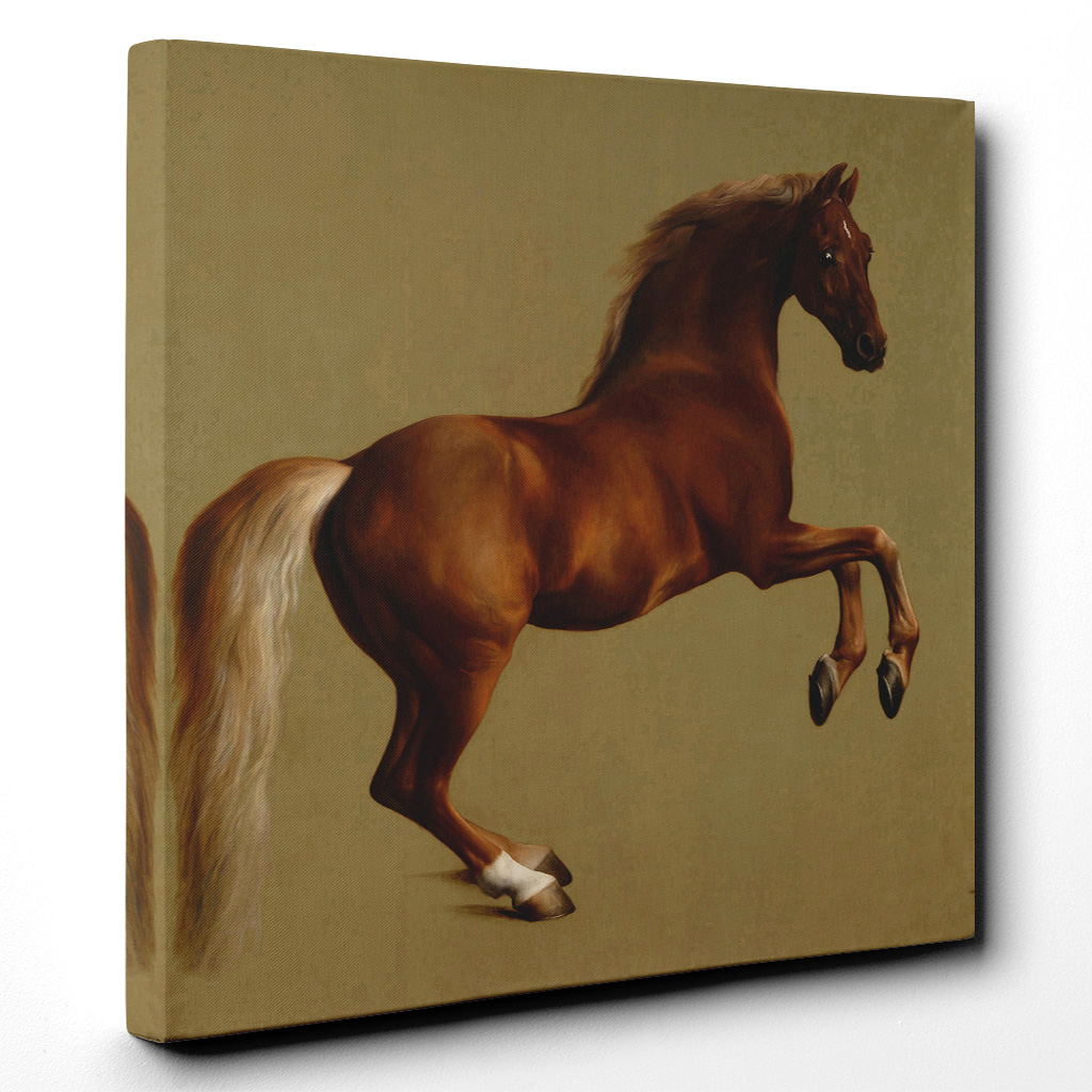 George Stubbs Whistlejacket Horse Framed Canvas Print Wall Art Picture ...