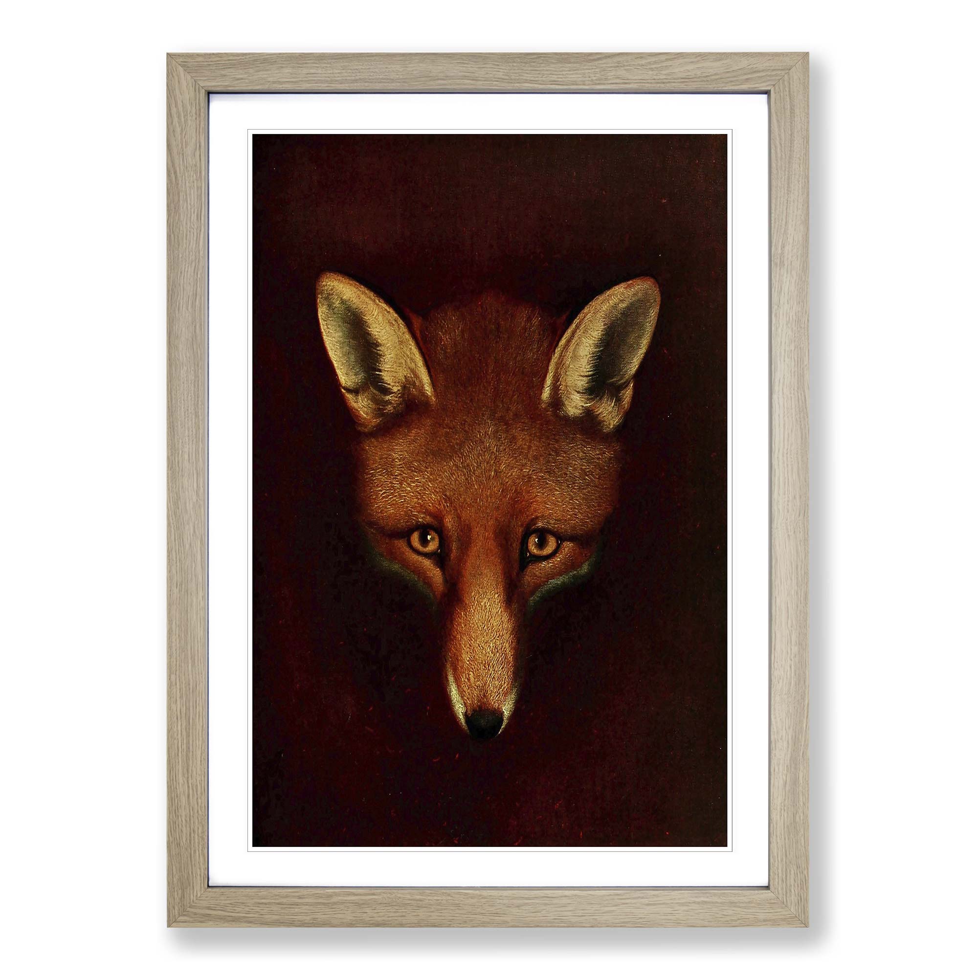Vintage Reinagle. Philip Renard The Fox Wall Art Print Framed Picture ...