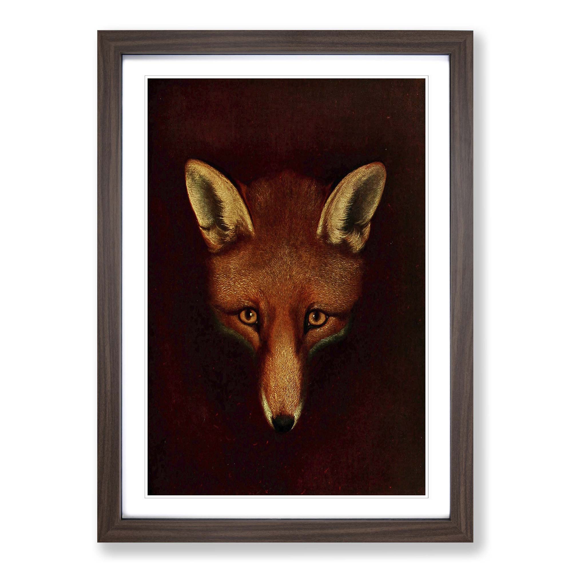 Vintage Reinagle. Philip Renard The Fox Wall Art Print Framed Picture ...