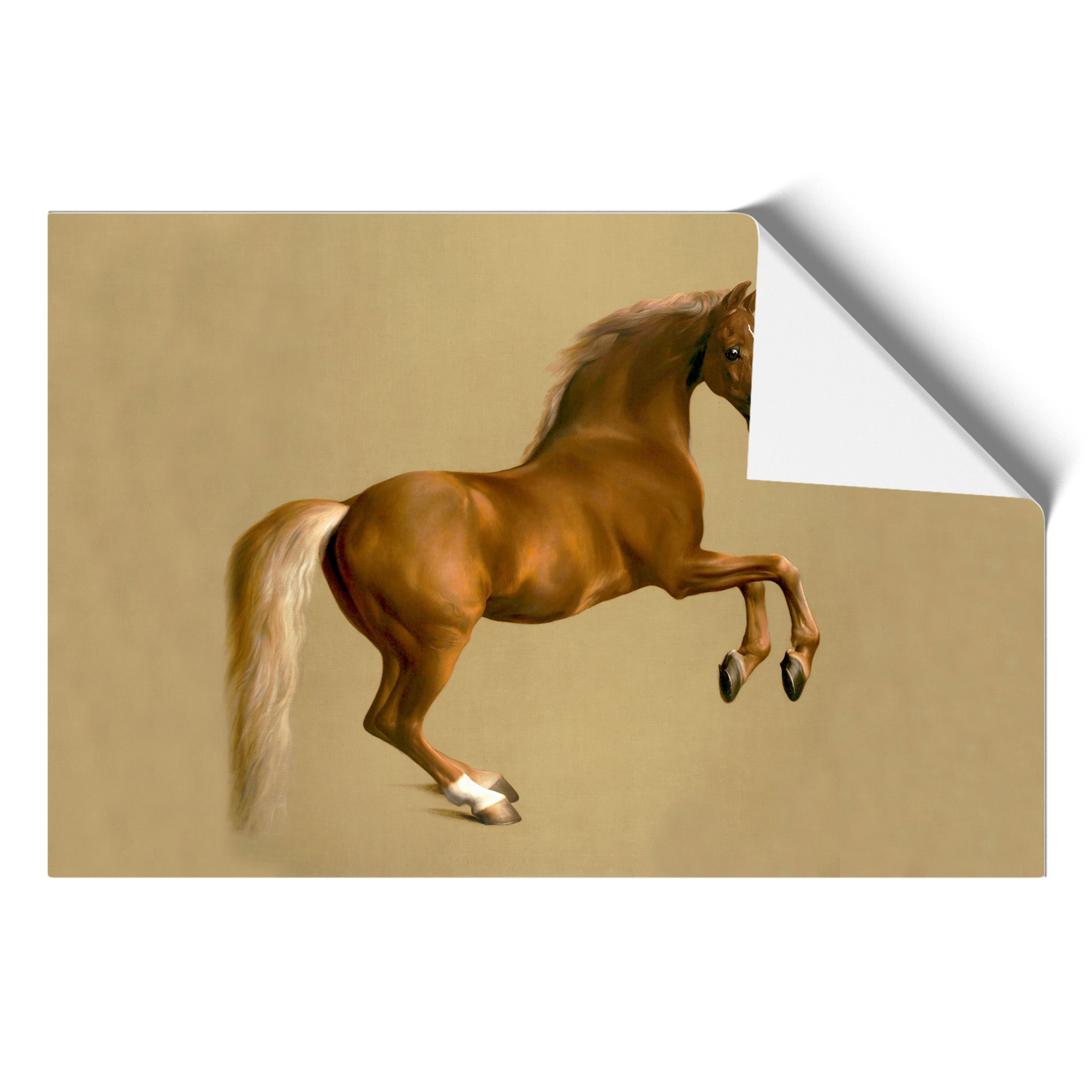 Whistlejacket By George Stubbs Wall Art Print Framed Canvas Picture ...