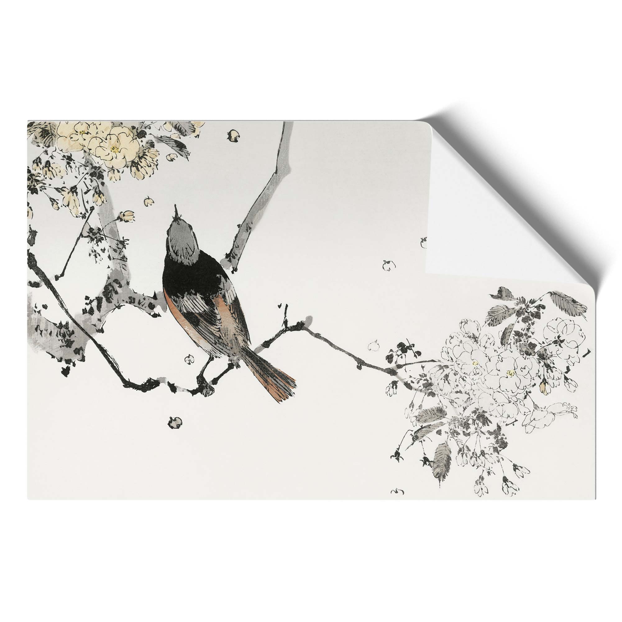 Japanese Swallow Asian Bird Watanabe Seitei Framed Wall Art Print Ready ...