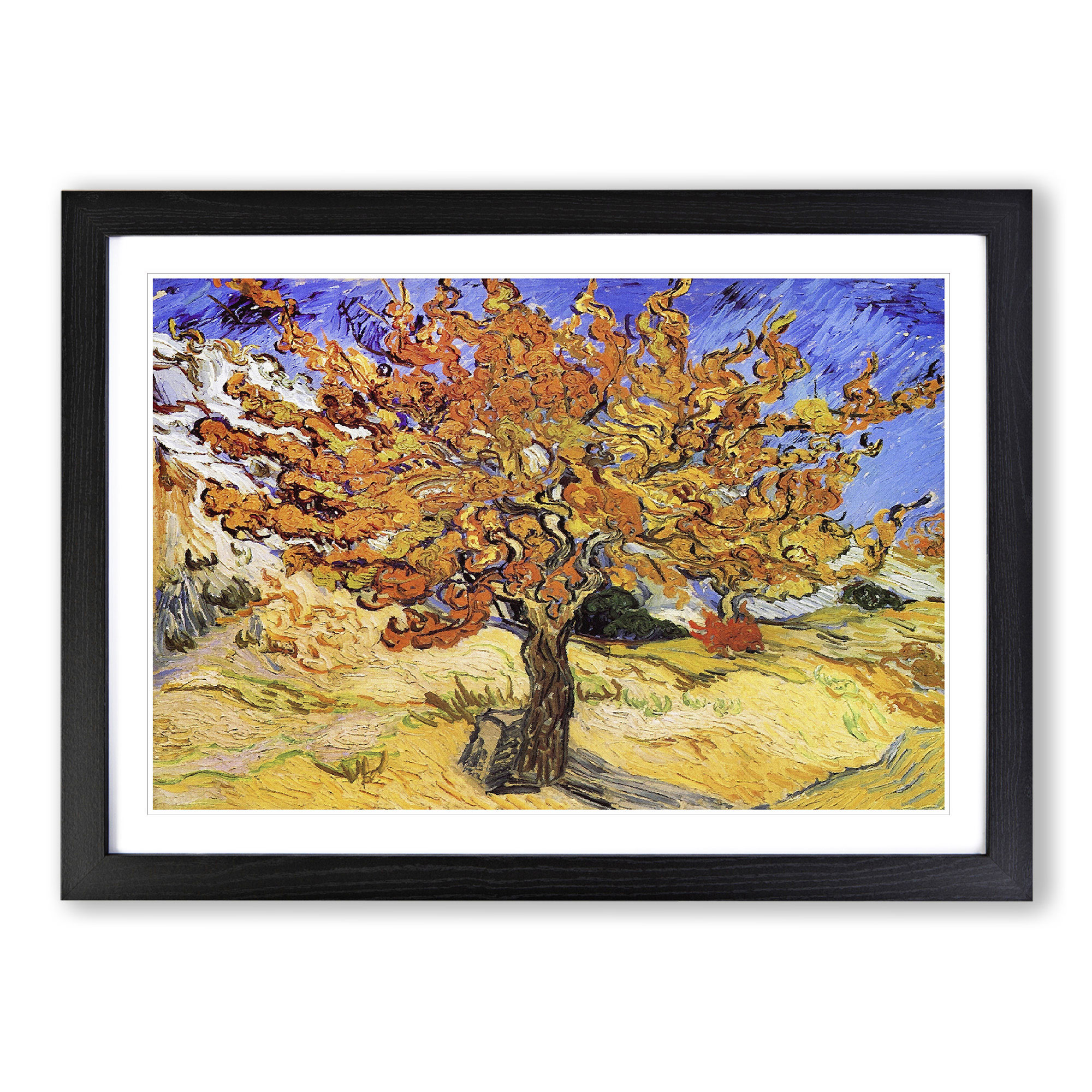 Mulberry Tree Van Gogh Vincent Van Gogh Mulberry Tree / Oil On