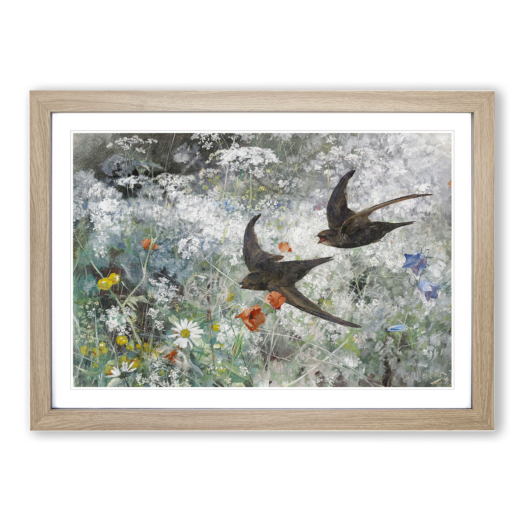 Common Swift Birds By Bruno Liljefors Wall Art Print Framed Picture ...
