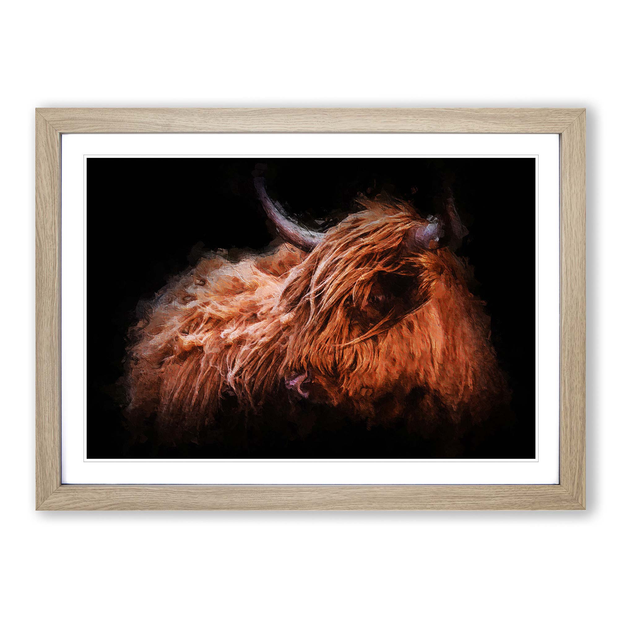 Highland Cow in the Shadows Framed Canvas Wall Art Print Poster Picture ...