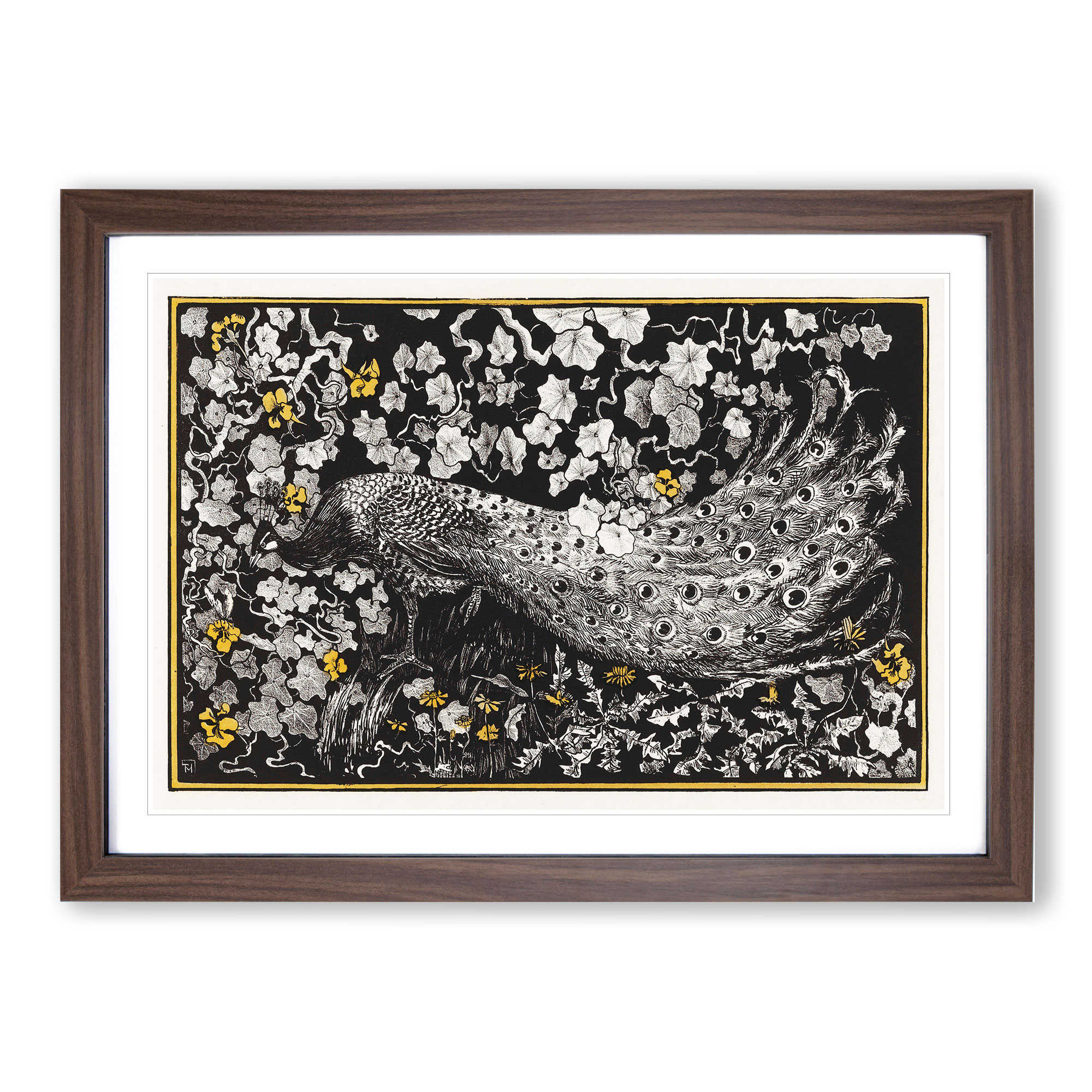Peacock By Theo Van Hoytema Wall Art Print Framed Canvas Picture Poster ...