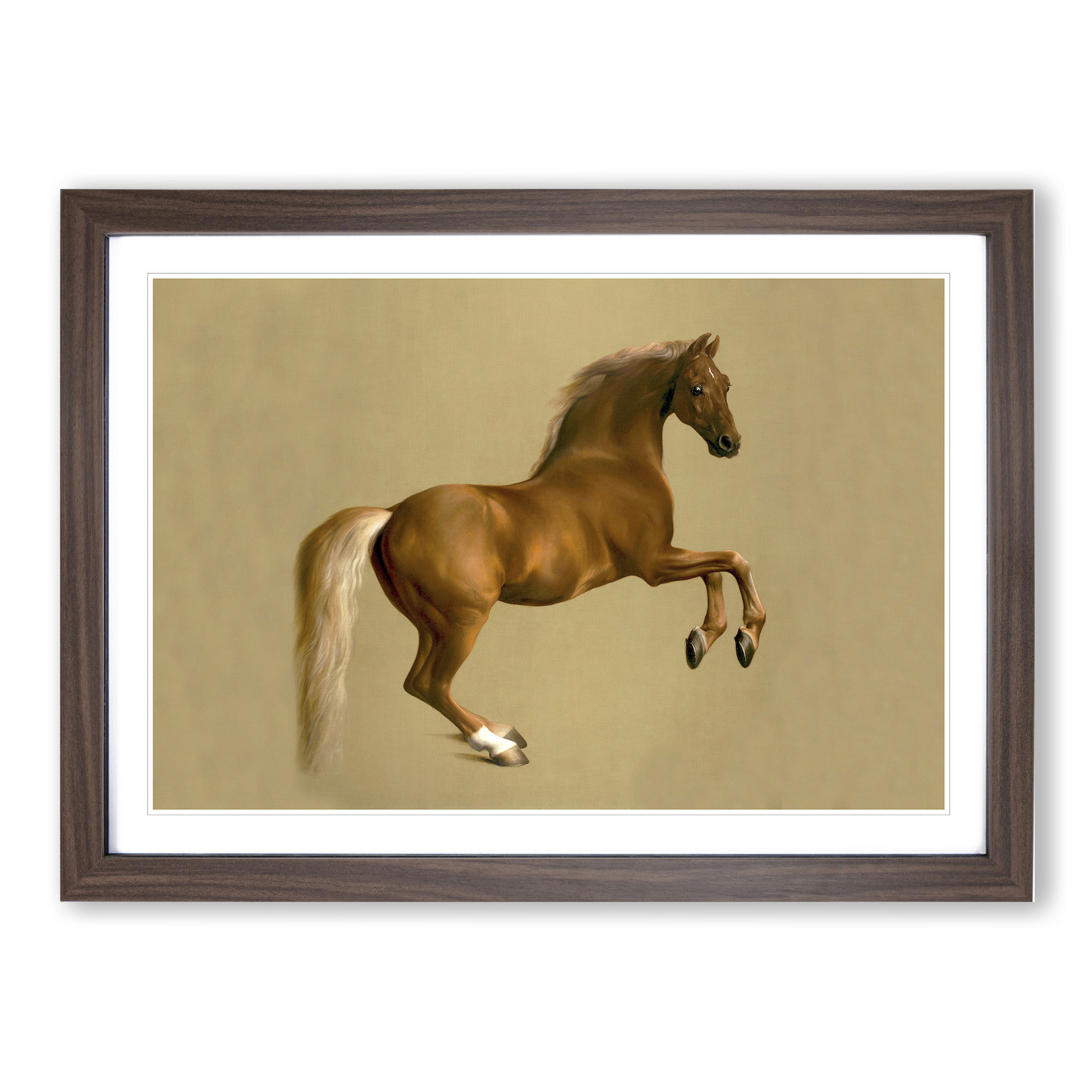 Whistlejacket By George Stubbs Wall Art Print Framed Canvas Picture ...