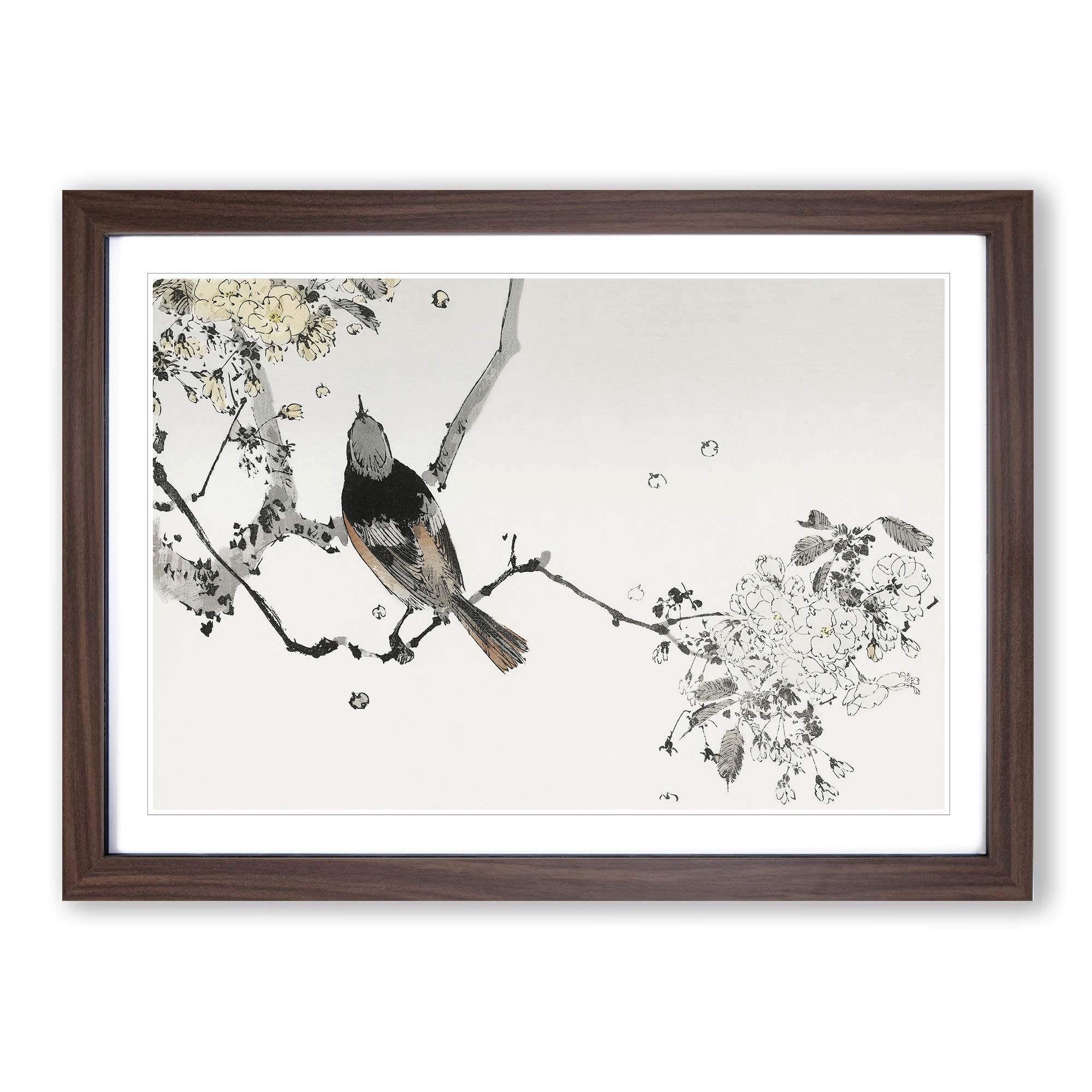 Japanese Swallow Asian Bird Watanabe Seitei Framed Wall Art Print Ready ...