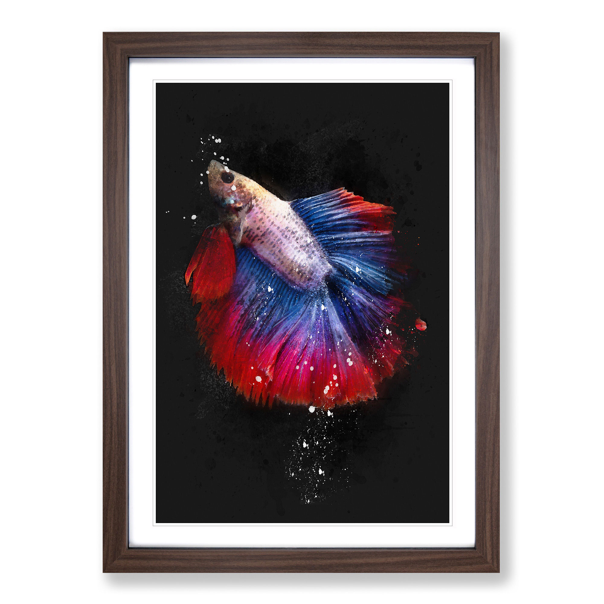 Siamese Fighting Fish Wall Art Print Framed Canvas Picture Poster Decor ...